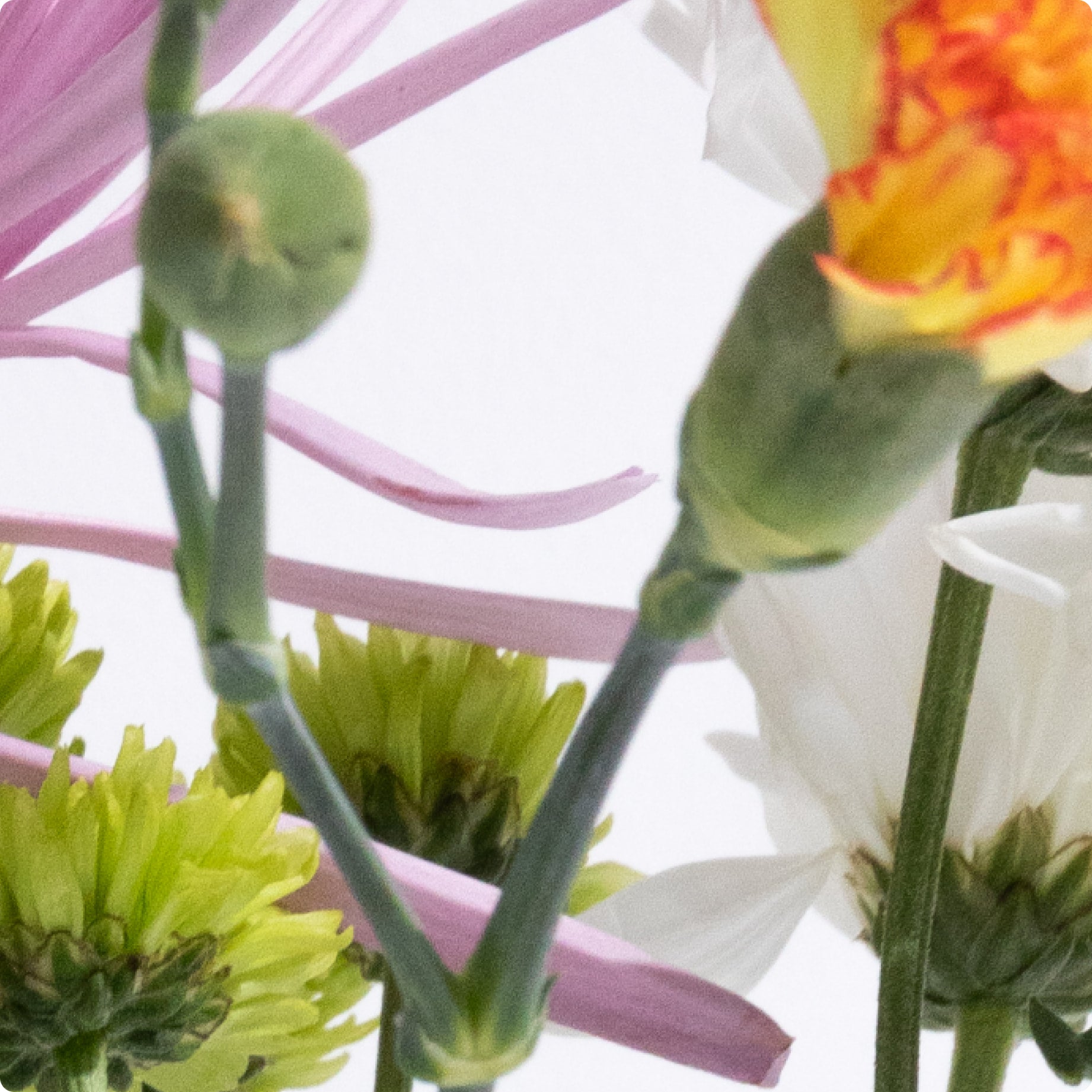 Frequently Asked Questions | Smile Hero™